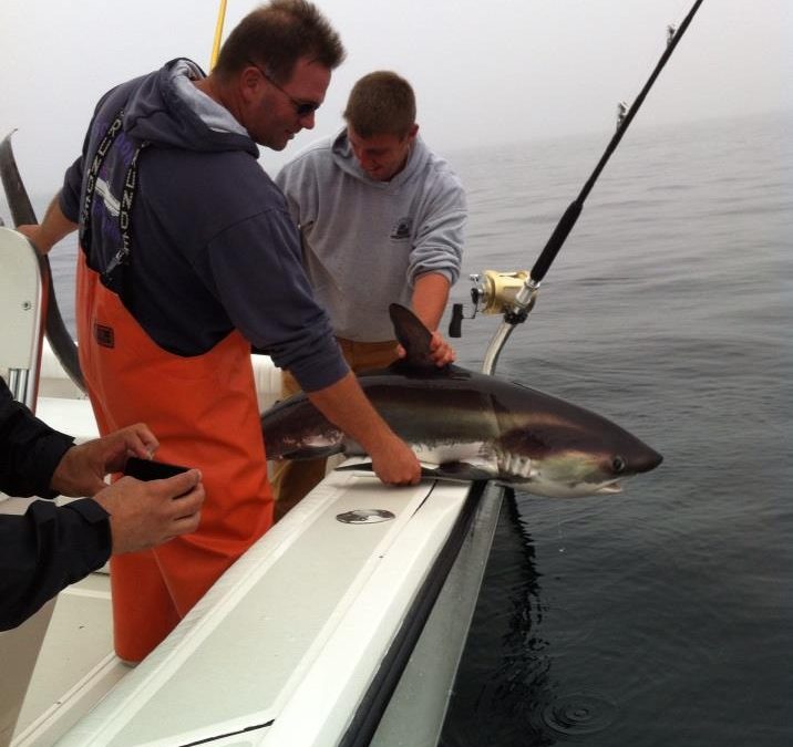 Eric Shark | Schooney Fishing Charters